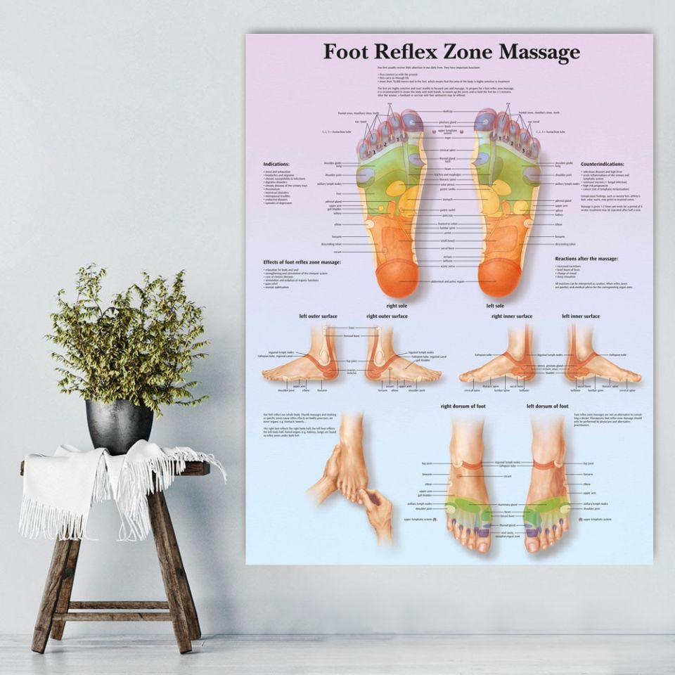 Anatomy Of Foot Chart – The Canvas Museum